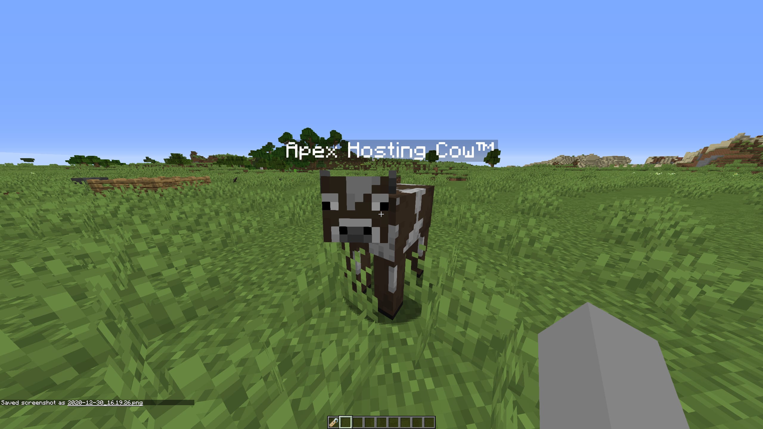 How Far Can You See Someone S Name Tag In Minecraft