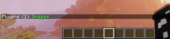 Custom Images Plugin - Apex Hosting