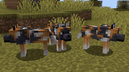 Minecraft Wolf Variants - Apex Hosting