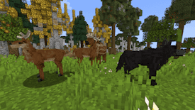 Exploration Modpacks - Apex Hosting